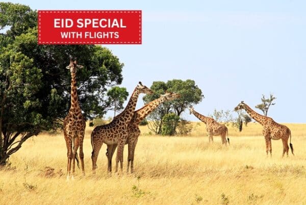 Eid Holiday Packages from Dubai 2026 | Satguru Travel UAE
